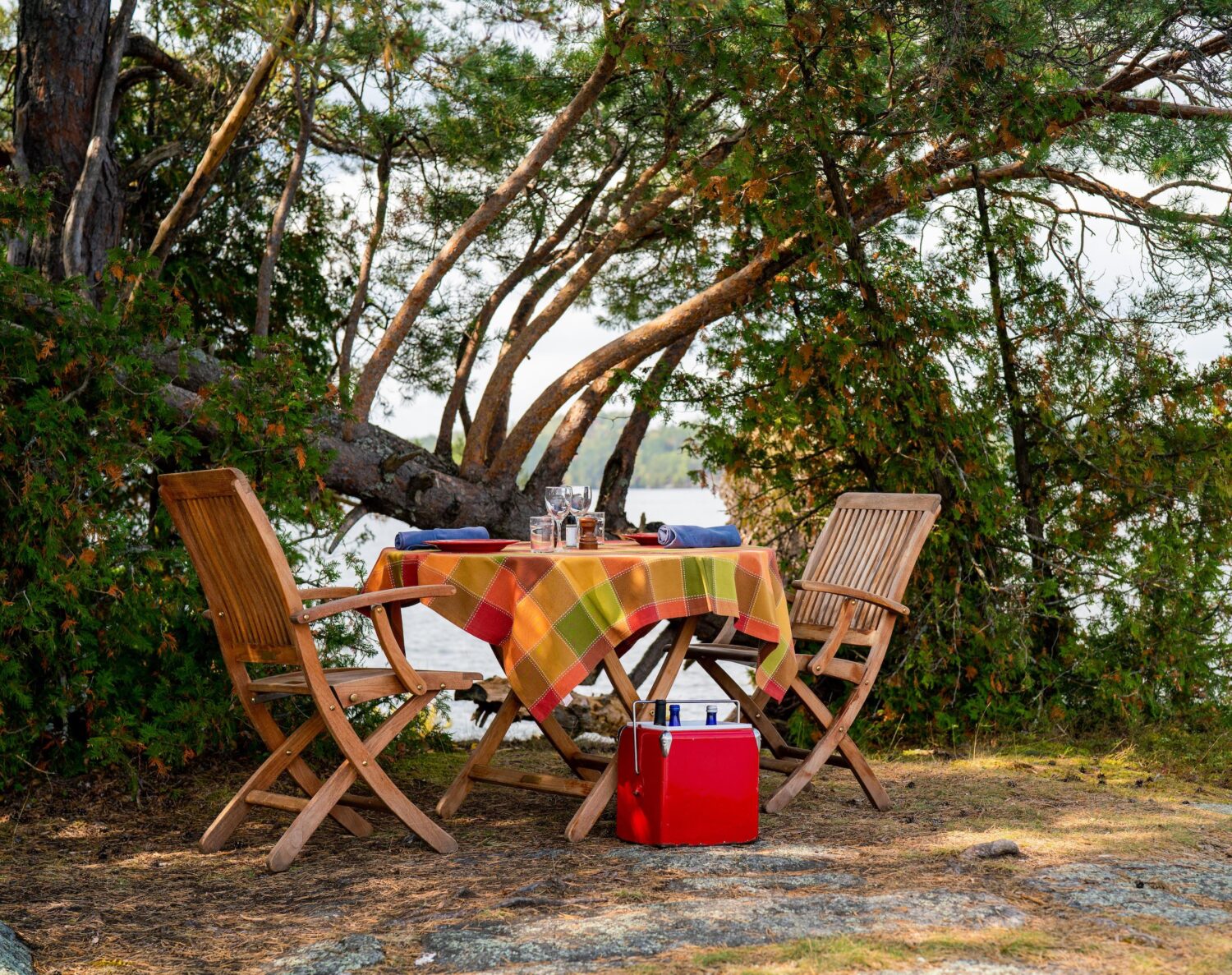 ACTIVITIES - The Point