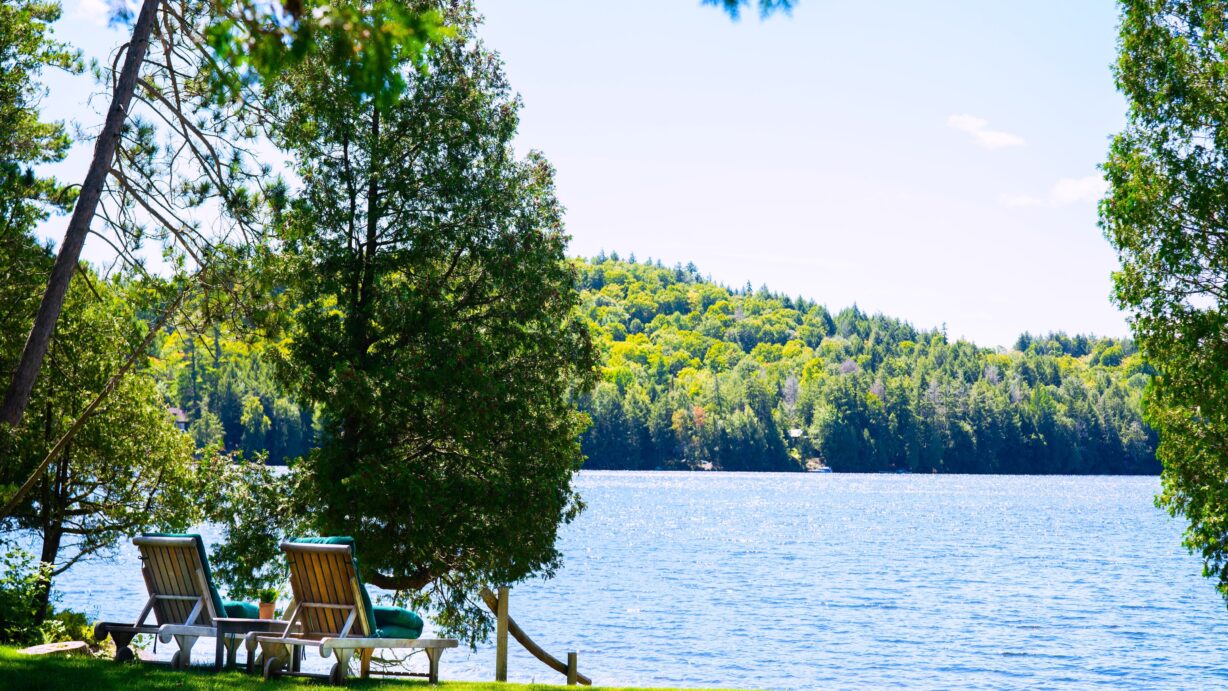 Wellbeing - The Point